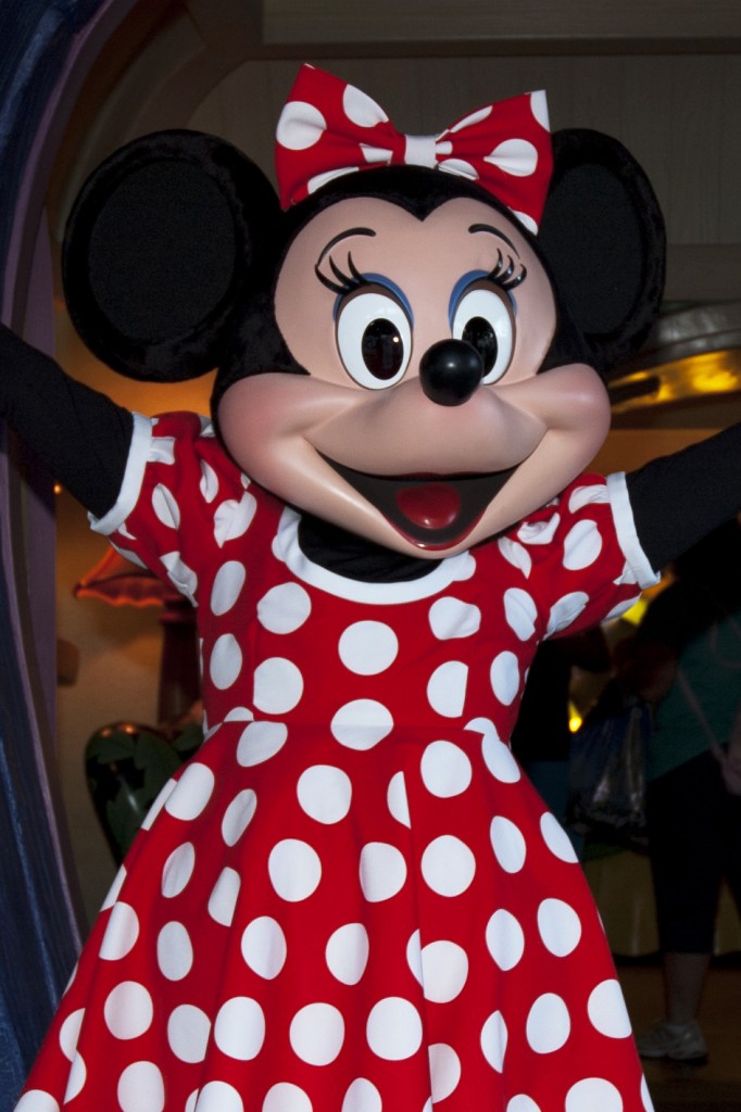 Disney World Tips