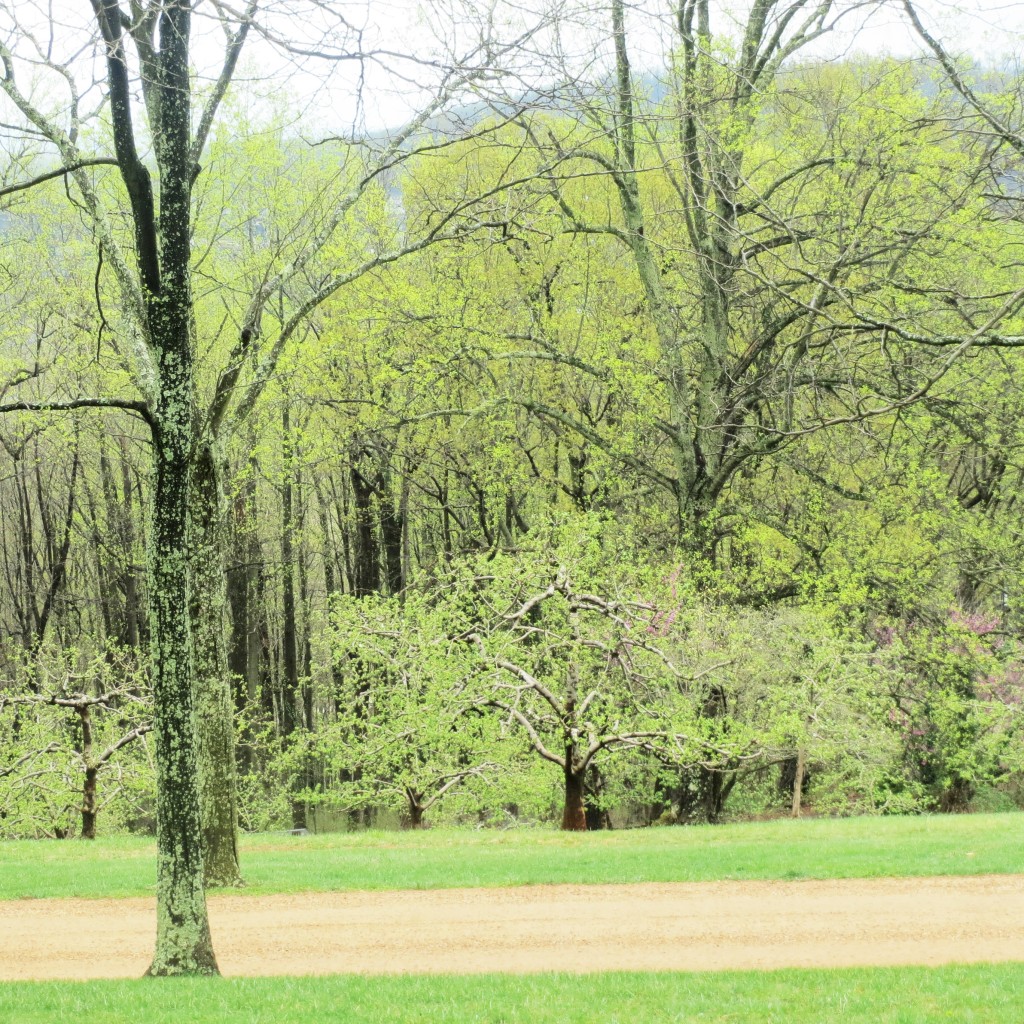 Sites to See in Richmond VA